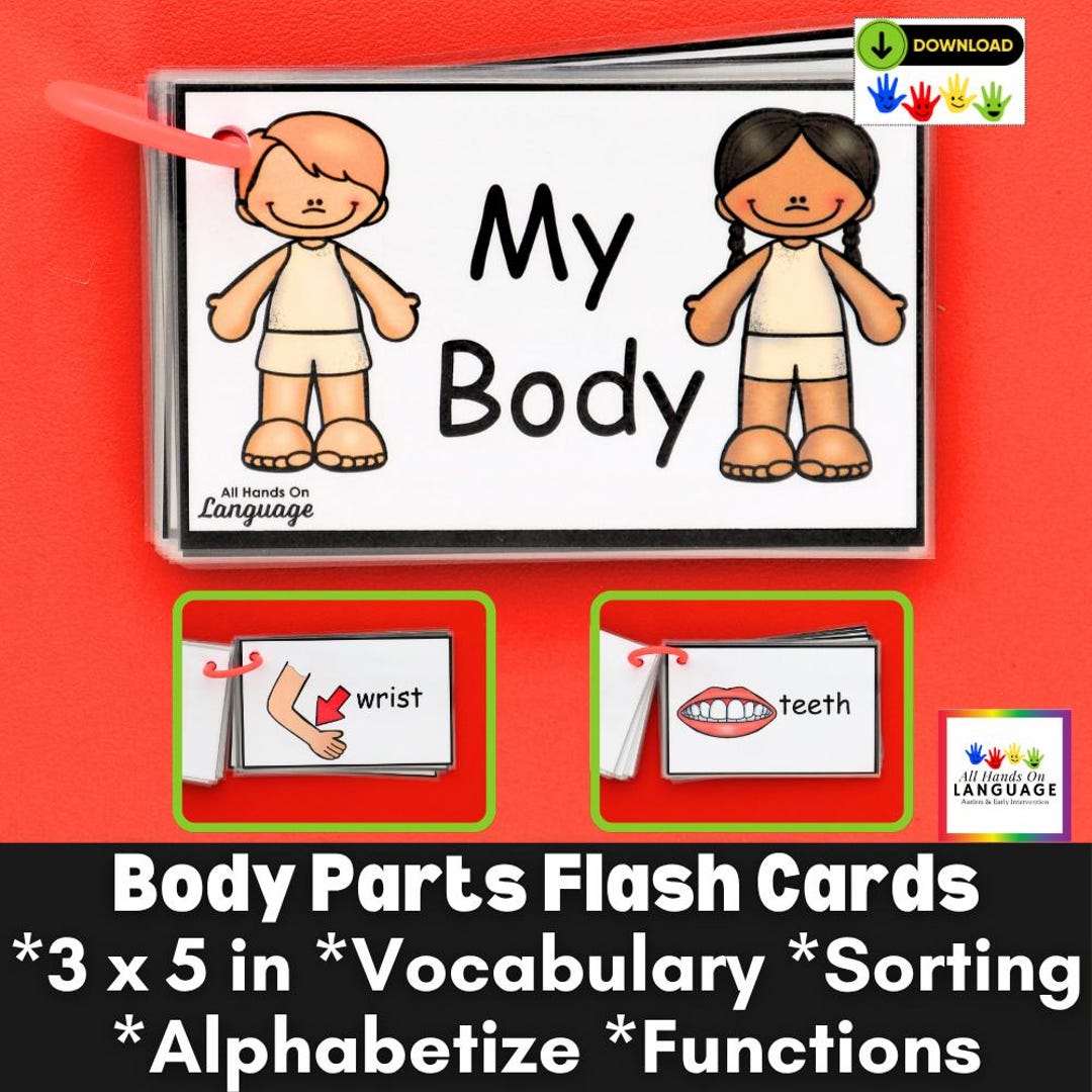 My Body Flash Card Set, 26 Body Parts, Activity Suggestions, Speech ...