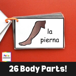 Spanish Body Parts Flashcards: Mi Cuerpo, Vocabulary Learning (PDF ...