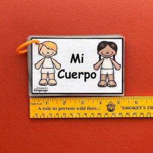 Spanish My Body Flashcard Set, Mi Cuerpo, 26 Body Parts in Spanish ...