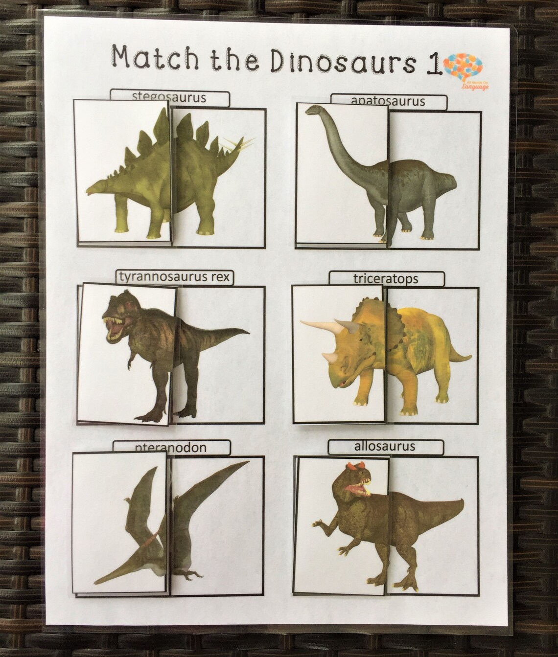 Match the Dinosaurs 1 Activity Front and Back Match the - Etsy