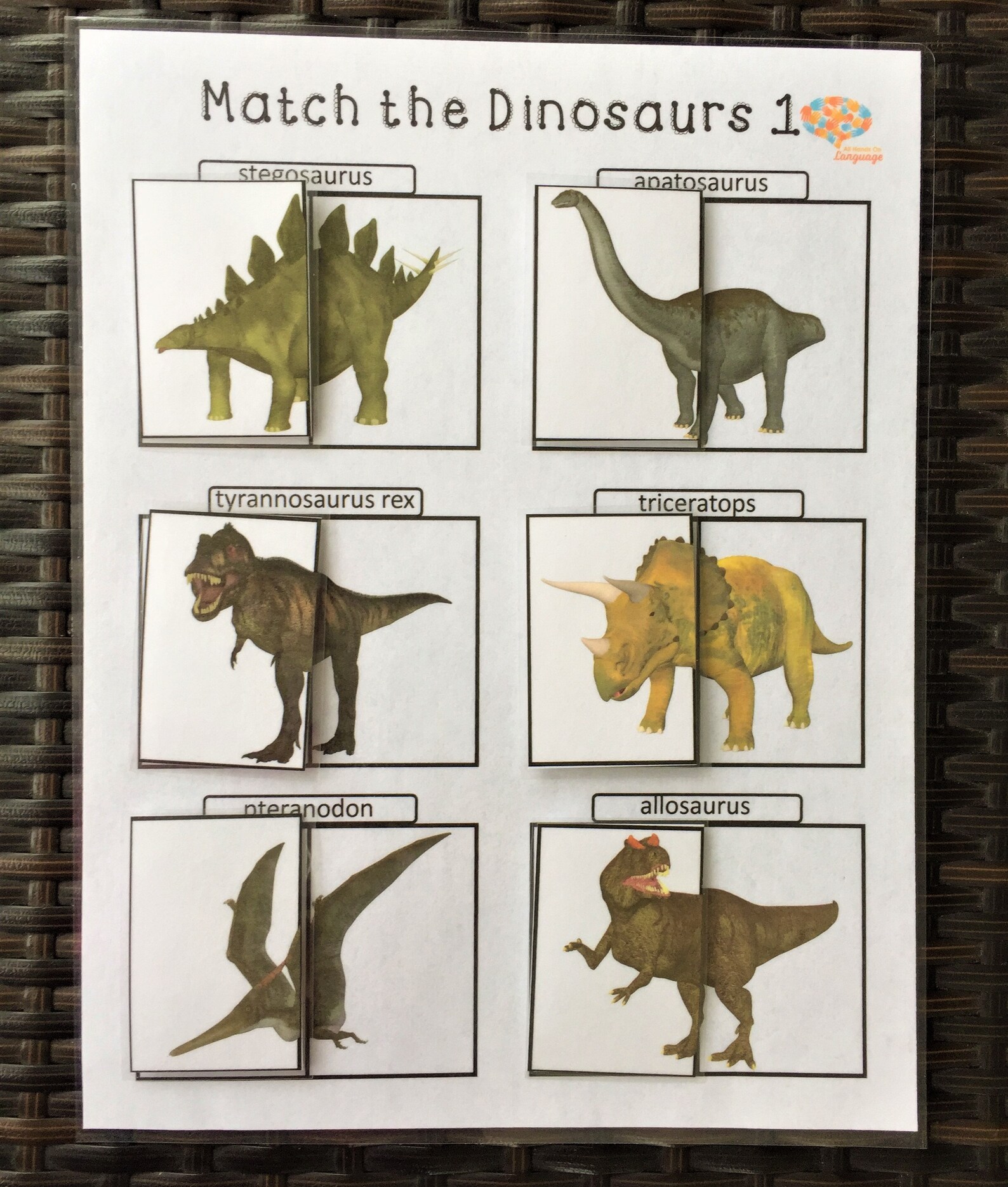 Match the Dinosaurs 1 Activity Front and Back Match the - Etsy