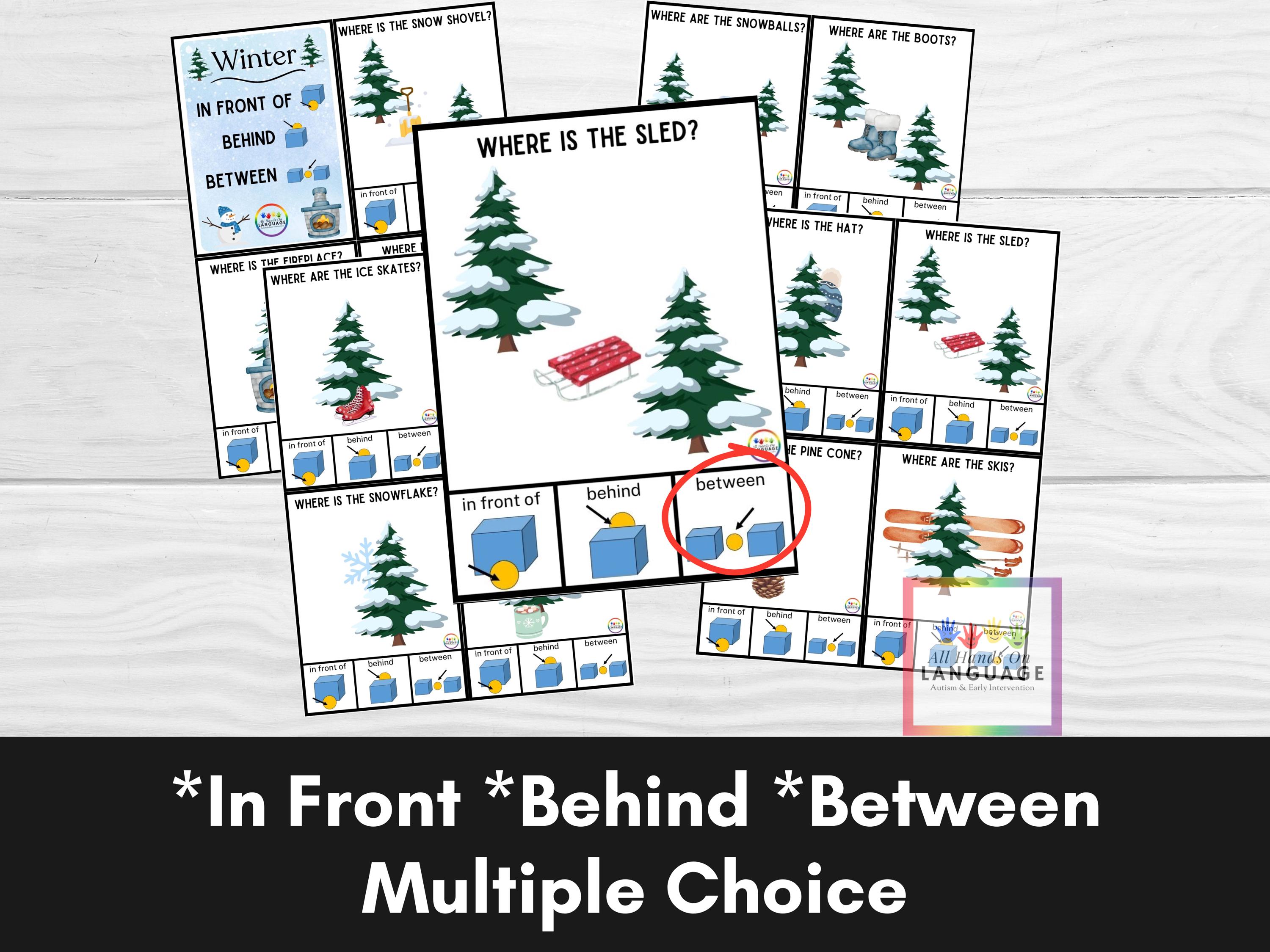 Winter Language Activity Set: Vocabulary, Prepositions, Sentences, WH ...
