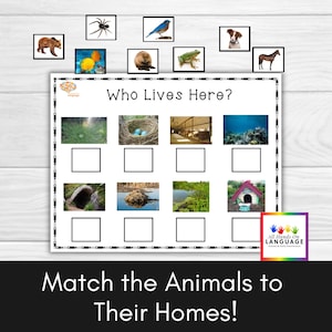 Animals & Homes Matching Activity: Association Game With Photos (PDF ...