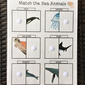 Match the Sea Animals Halves Activity, Front + Back Matching Game ...