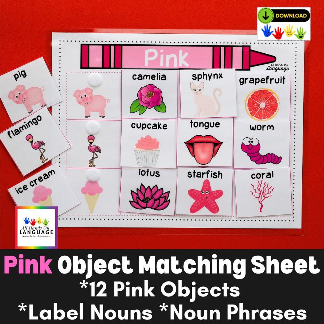 Pink Object Matching Game: Autism & Preschool (printable PDF) - Etsy
