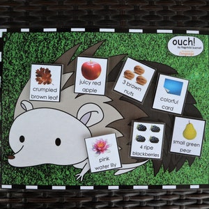 Ouch!, Apple Trouble Story Companion, Retell & Sequence the Story Plus ...