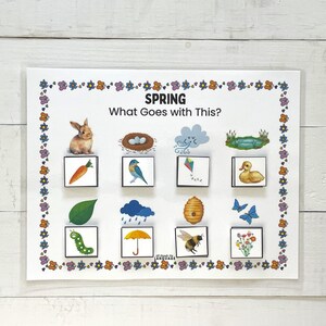 Spring-themed What Goes With This? Associations Matching Activity ...
