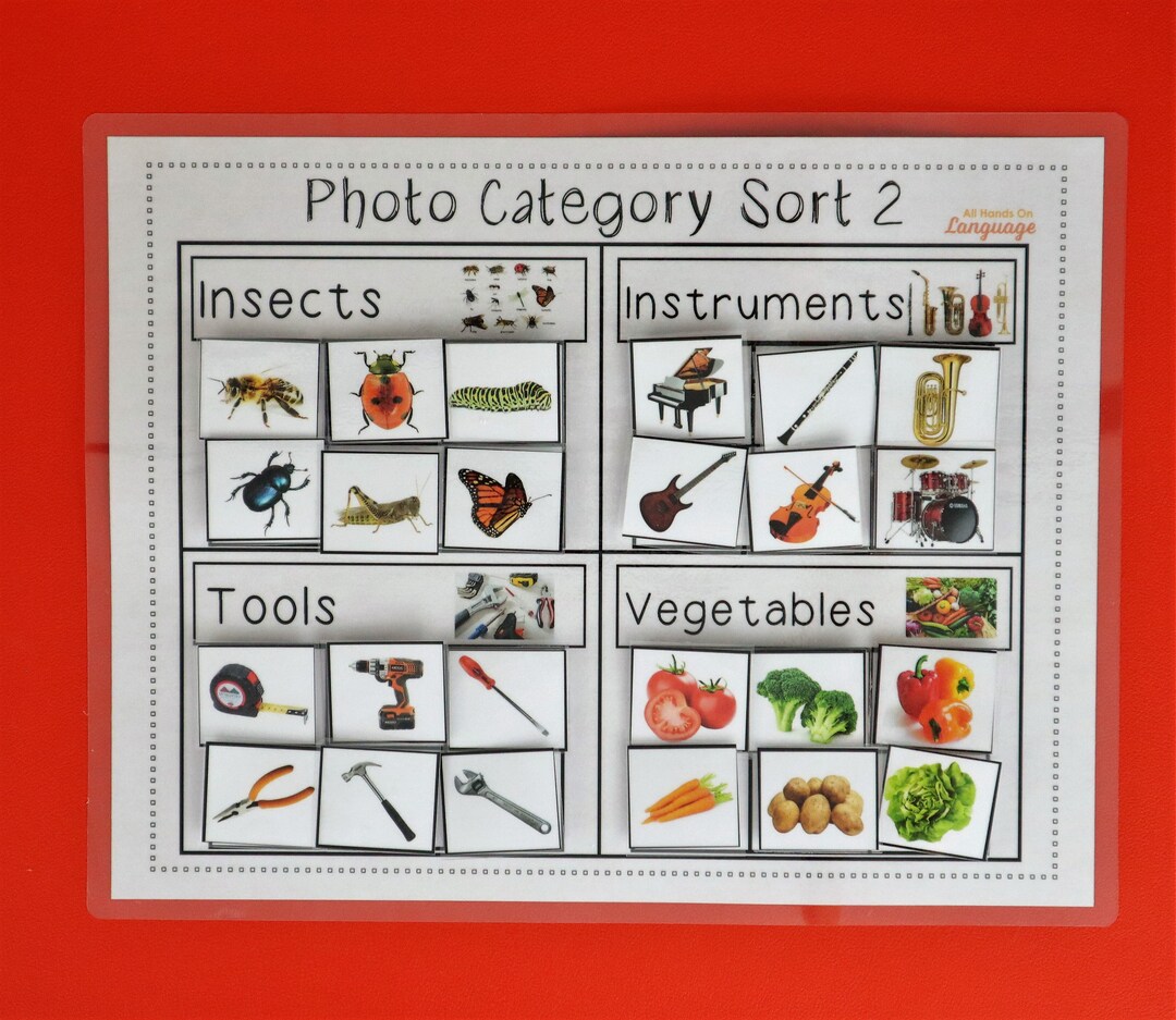 Category Sort 2 With Real Photographs Activity, 4 Categories-24 ...