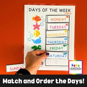 Days of the Week Ordering Activity: Under the Sea Theme (printable PDF ...
