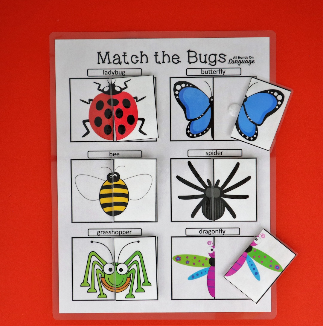 Match the Bugs Activity, Left and Right, Match Halves, Symmetry, Autism ...