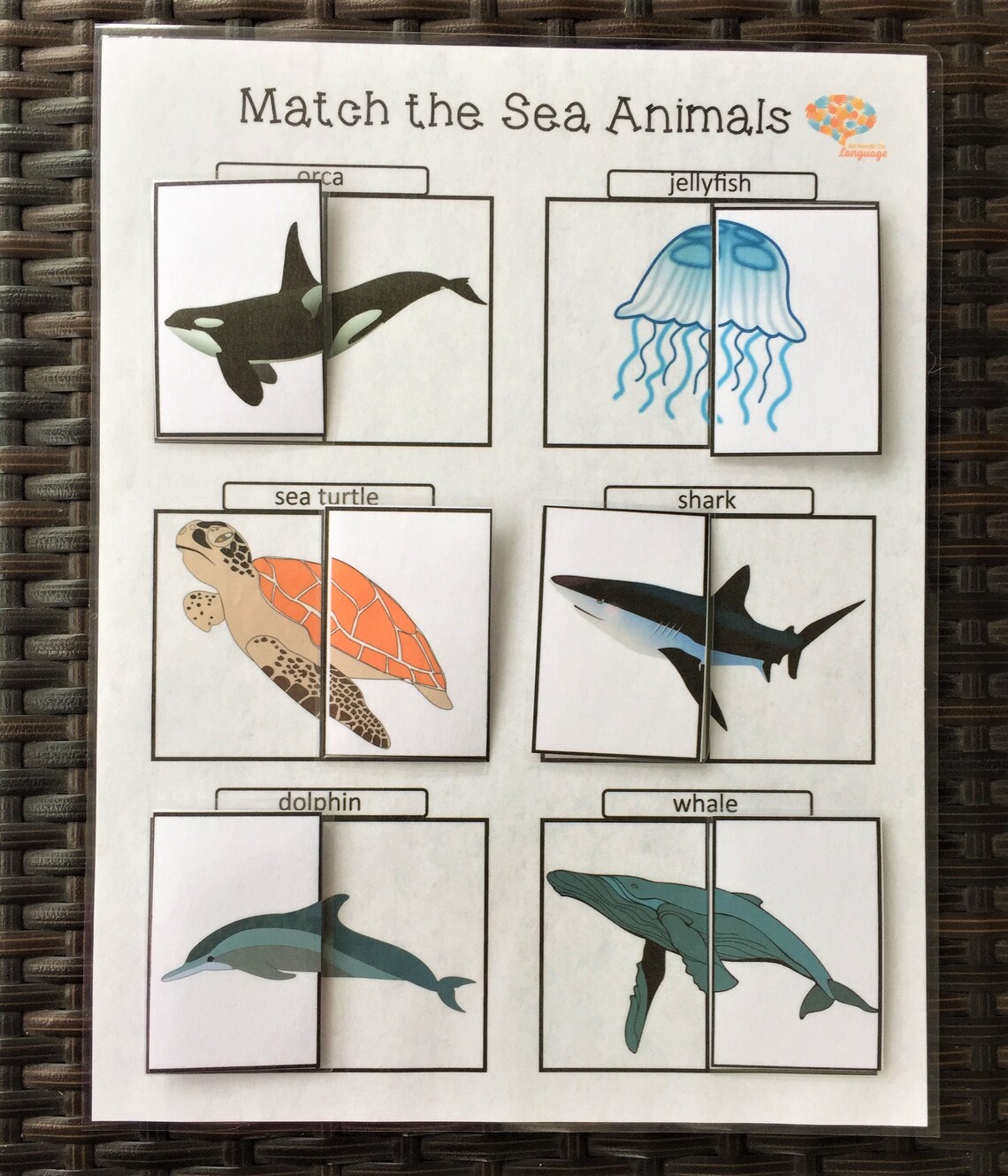 Match the Sea Animals Halves Activity Front Back Matching - Etsy