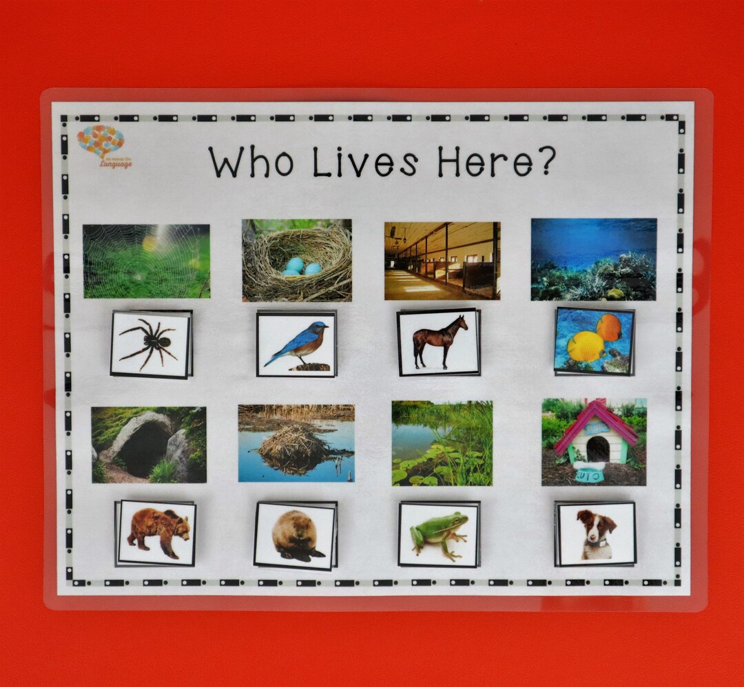 Animals and Homes Matching Activity, Who Lives Here With Real ...