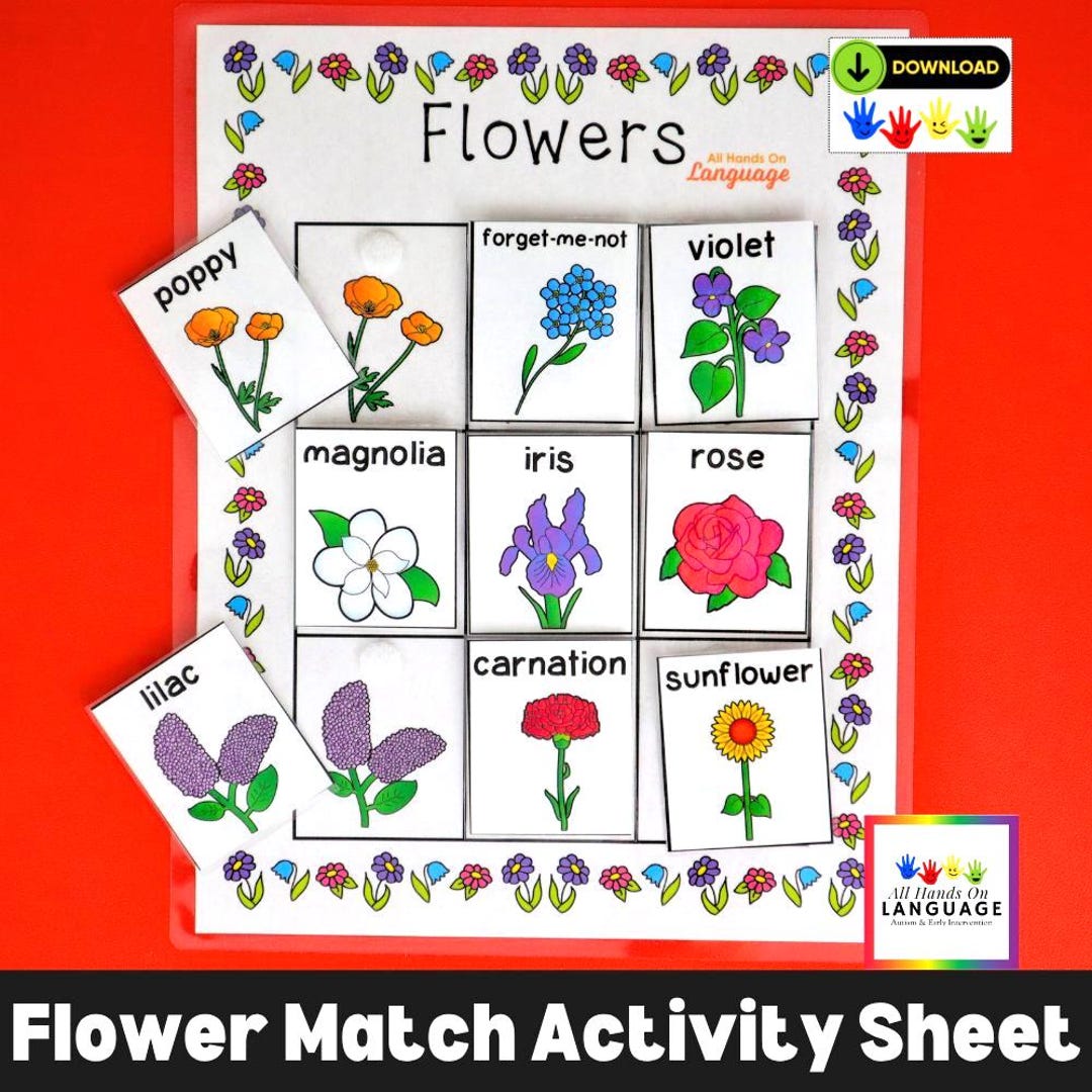 Flower Matching Activity, Match 9 Labeled Flowers, Preschool and Autism ...