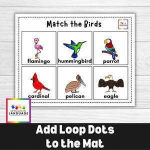 Bird Matching Activity: Preschool & Autism Learning (PDF Printable) - Etsy