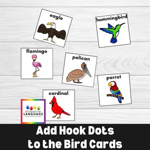 Bird Matching Activity: Preschool & Autism Learning (PDF Printable) - Etsy