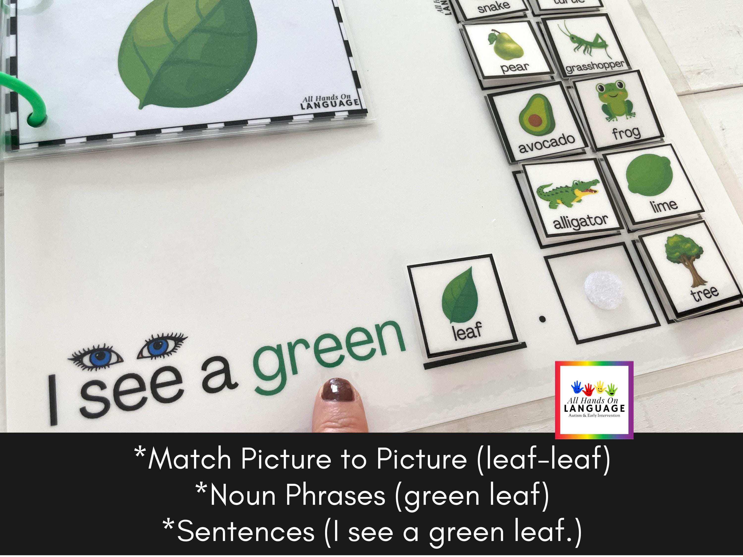 I See GREEN... Interactive Book and Sentence Formulation Activity ...