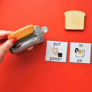 Bilingual Spanish English Vocabulary Cue Cards: AAC, ESOL (PDF ...