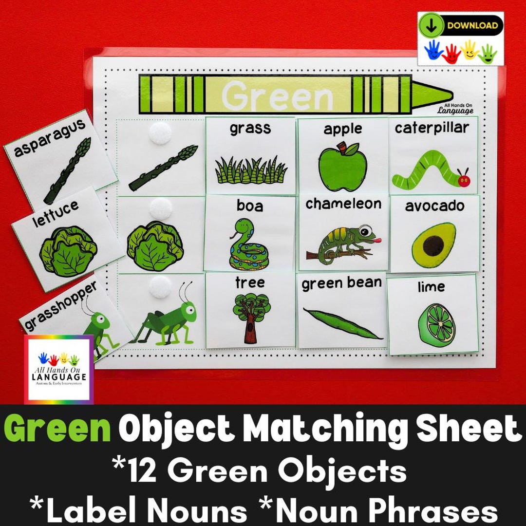 Green Object Matching Game: Speech & Autism (printable PDF) - Etsy