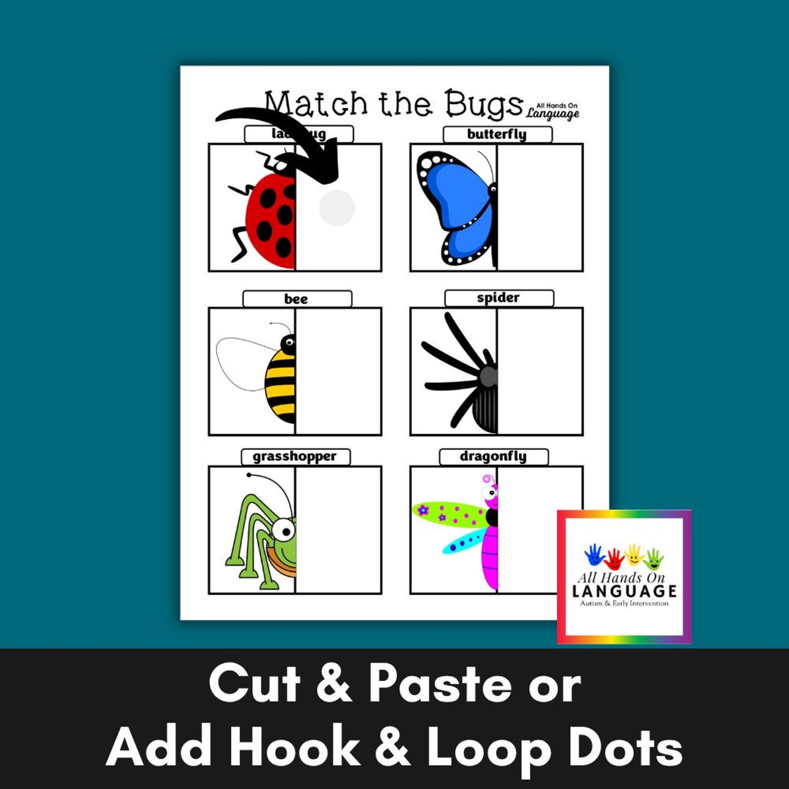 Match the Bug Halves Interactive Activity, Left and Right, Symmetry ...