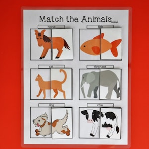 Match the Animal Halves Activity, Front, Back, Match the Back to the ...