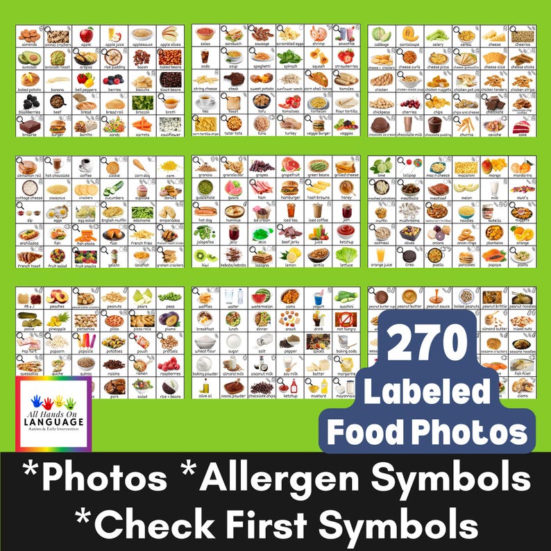 Food Allergy Safety Kit: Visuals, Sorting & Caregiver Education With ...