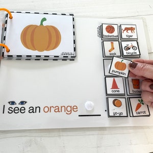 I See ORANGE... Interactive Book and Sentence Formulation Activity ...
