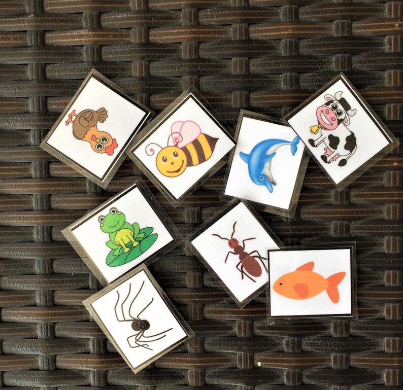 Animals and Homes Matching Activity Who Lives Here - Etsy