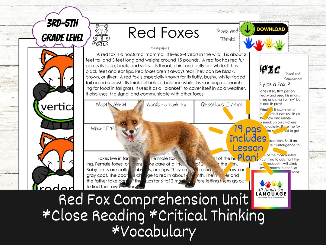 Red Fox Comprehension Unit Cause Effect Critical Thinking - Etsy