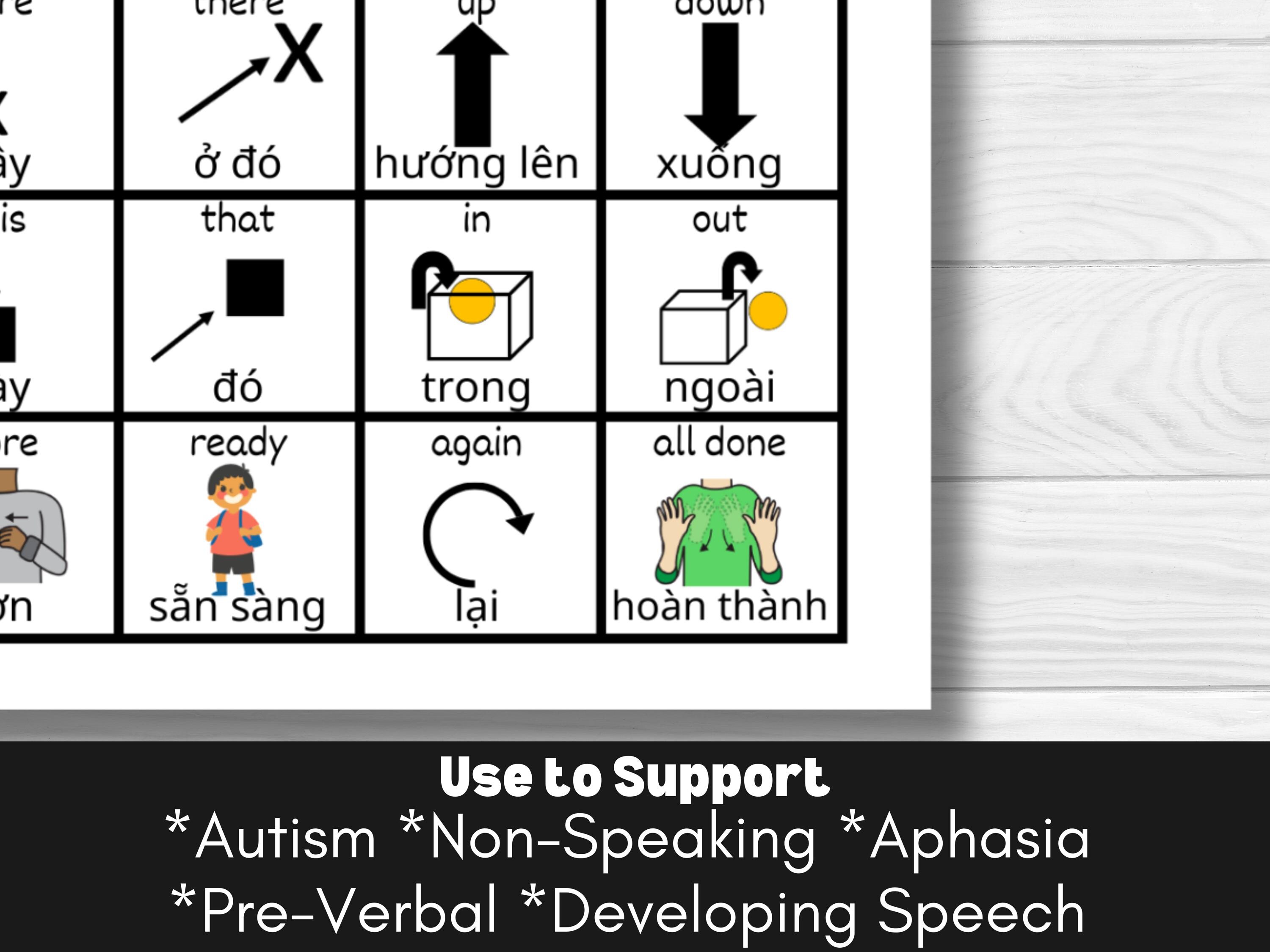 Bilingual Vietnamese English Communication Board: 48 AAC, ESL (PDF ...