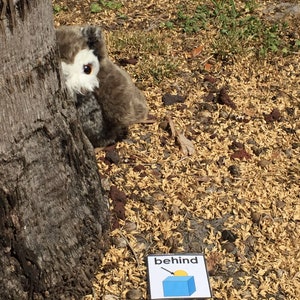 What's Behind the Tree Interactive Book for Preposition BEHIND ...