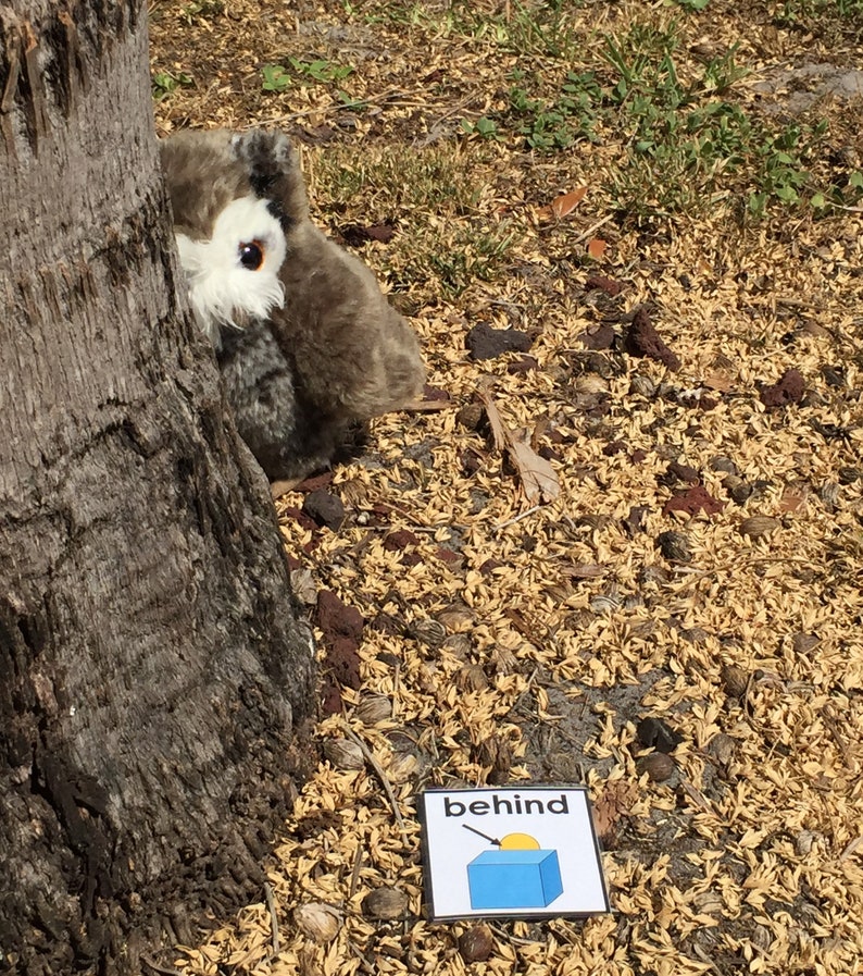 What's Behind the Tree Interactive Book for Preposition - Etsy