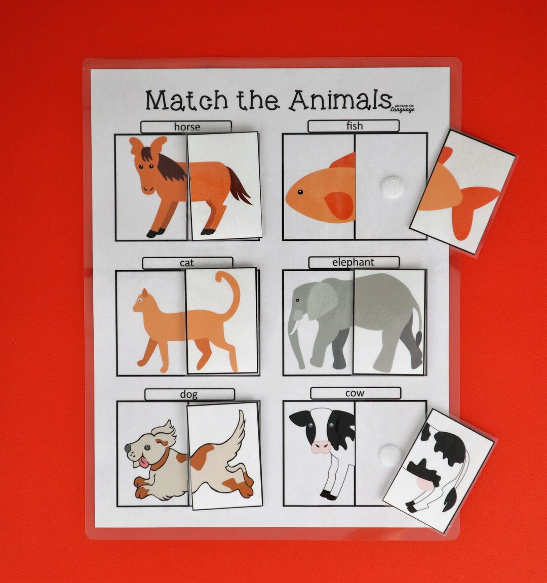 Match the Animal Halves Activity, Front, Back, Match the Back to the ...