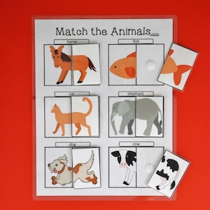 Match the Animal Halves Activity, Front, Back, Match the Back to the ...