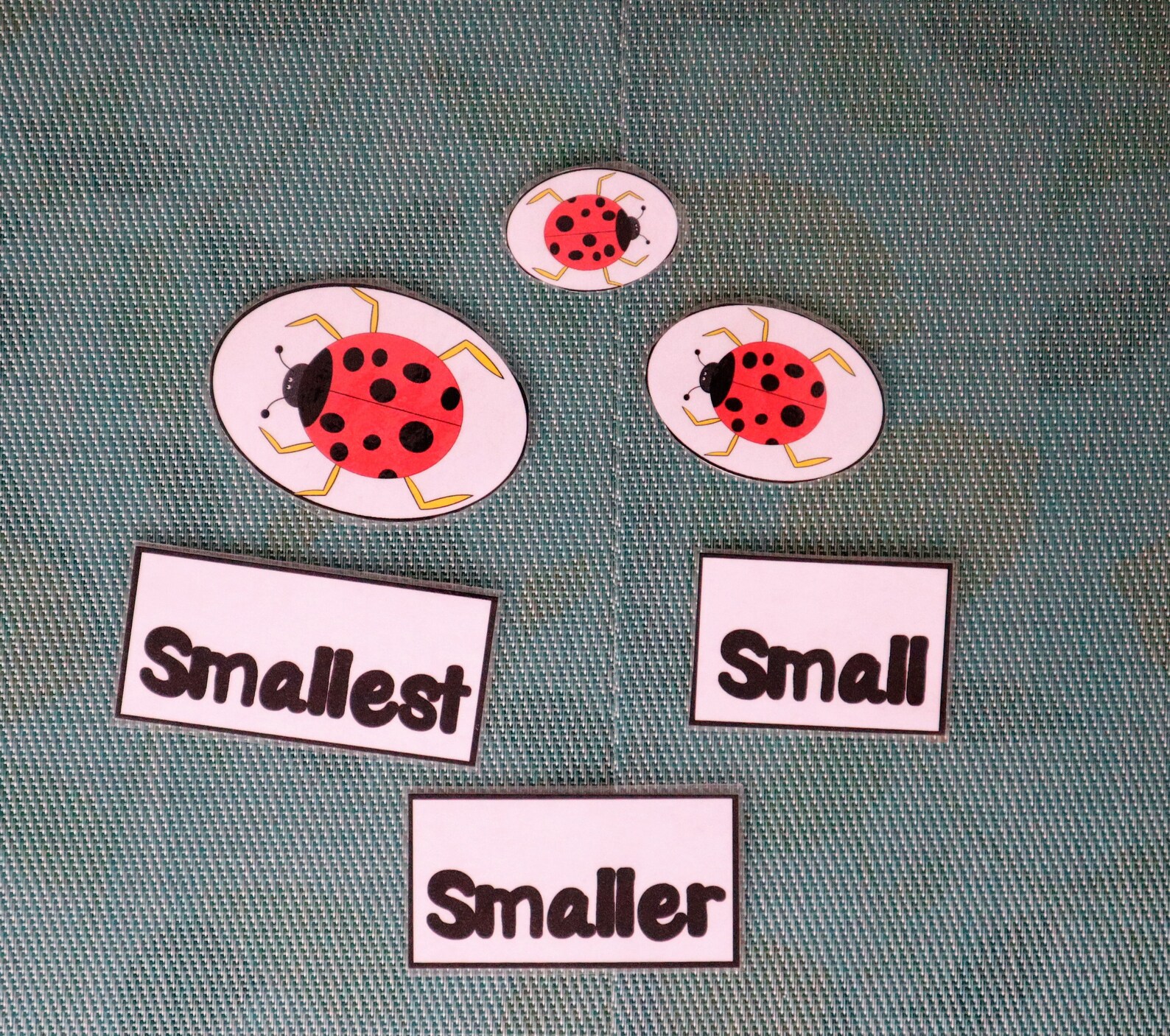 Small Smaller Smallest Ladybug Matching Activity Put the - Etsy