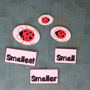 Small Smaller Smallest Ladybug Matching Activity Put the - Etsy