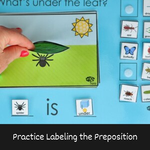 What's Under the Leaf? Interactive Flap Book for Preposition UNDER ...