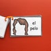 Spanish My Body Flashcard Set, Mi Cuerpo, 26 Body Parts in Spanish ...