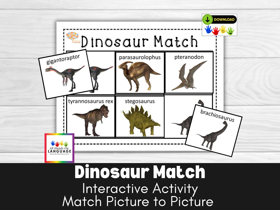 Dinosaur Matching Interactive Activity, Realistic Graphics of Dinosaurs ...