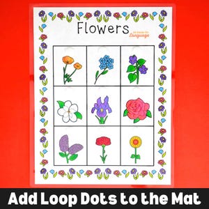 Flower Matching Activity, Match 9 Labeled Flowers, Preschool and Autism ...