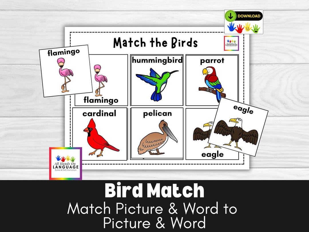 Match the Birds Activity, Match 6 Labeled Birds, Autism and Preschool ...