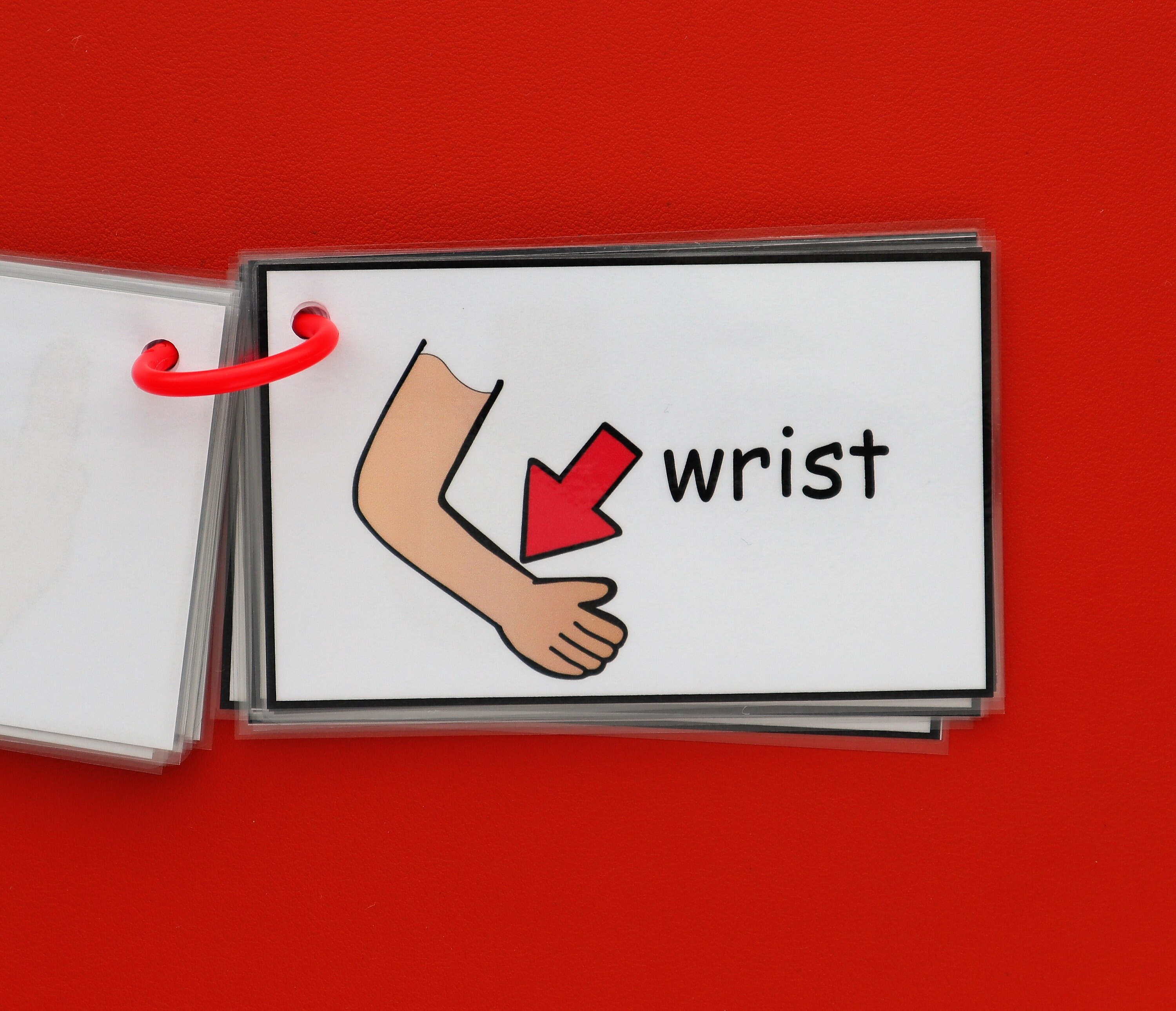 My Body Flashcard Set 26 Body Parts Language Academic - Etsy