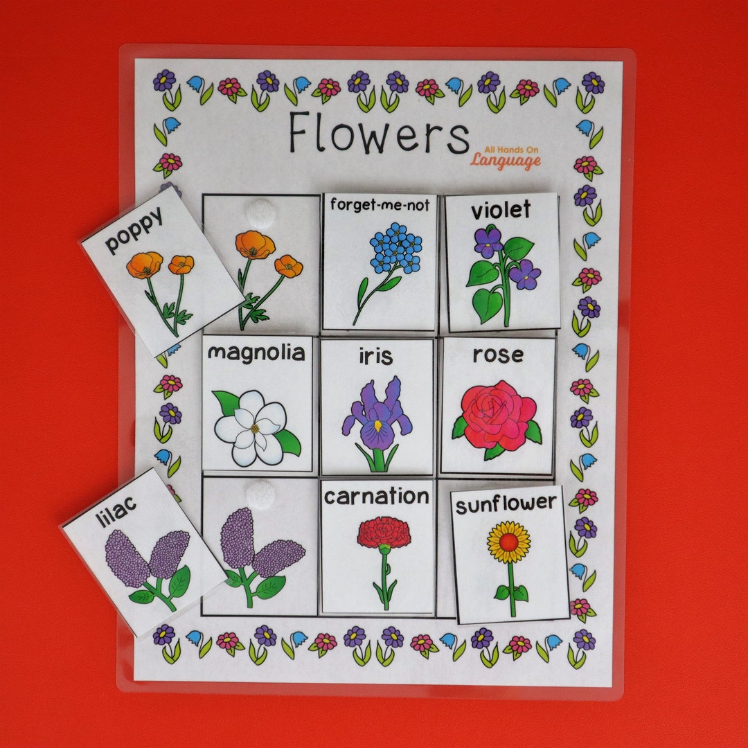 Flower Matching Activity, Match 9 Labeled Flowers, Preschool and Autism ...