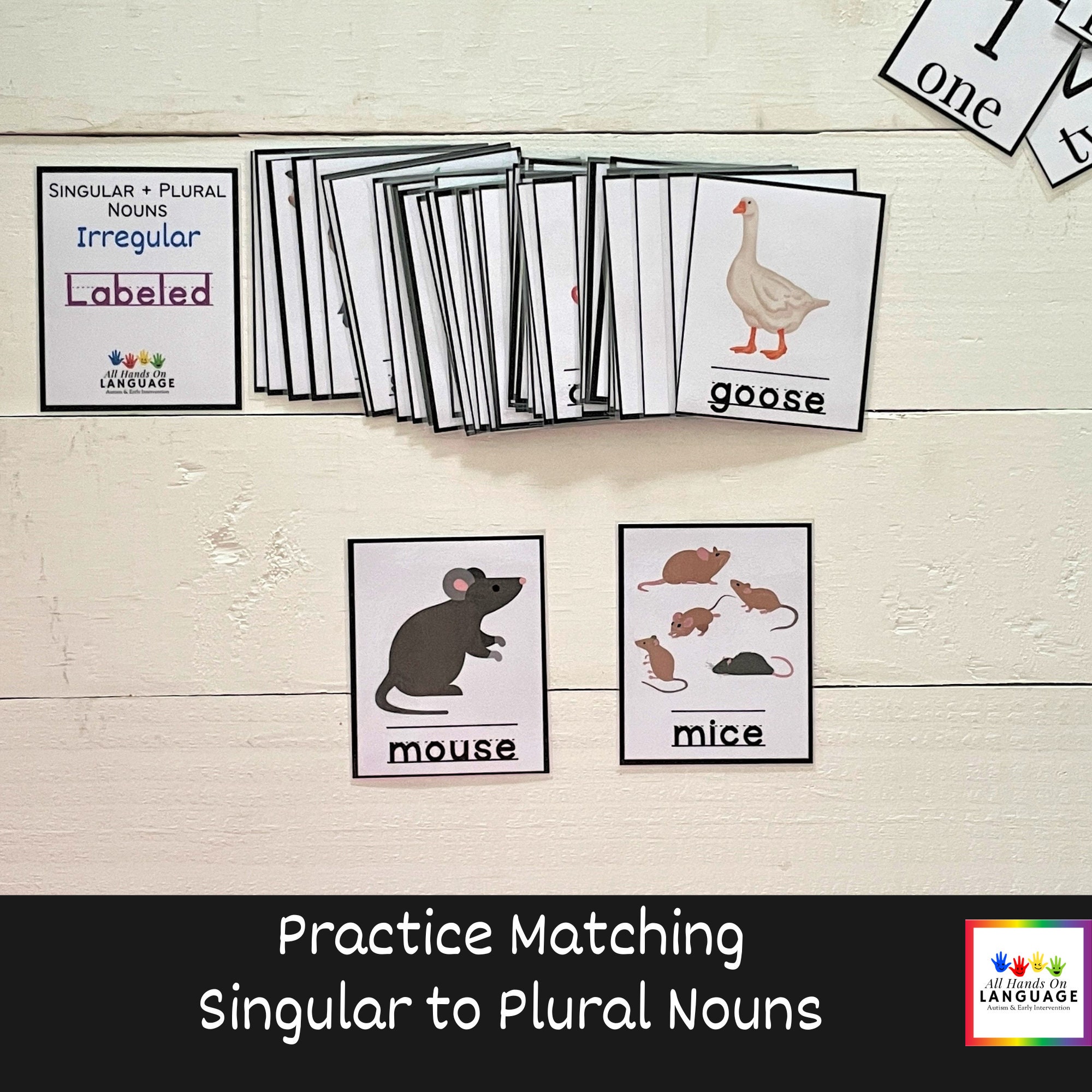 Singular and Plural Nouns Flashcards Sentences 40 Pairs of - Etsy UK