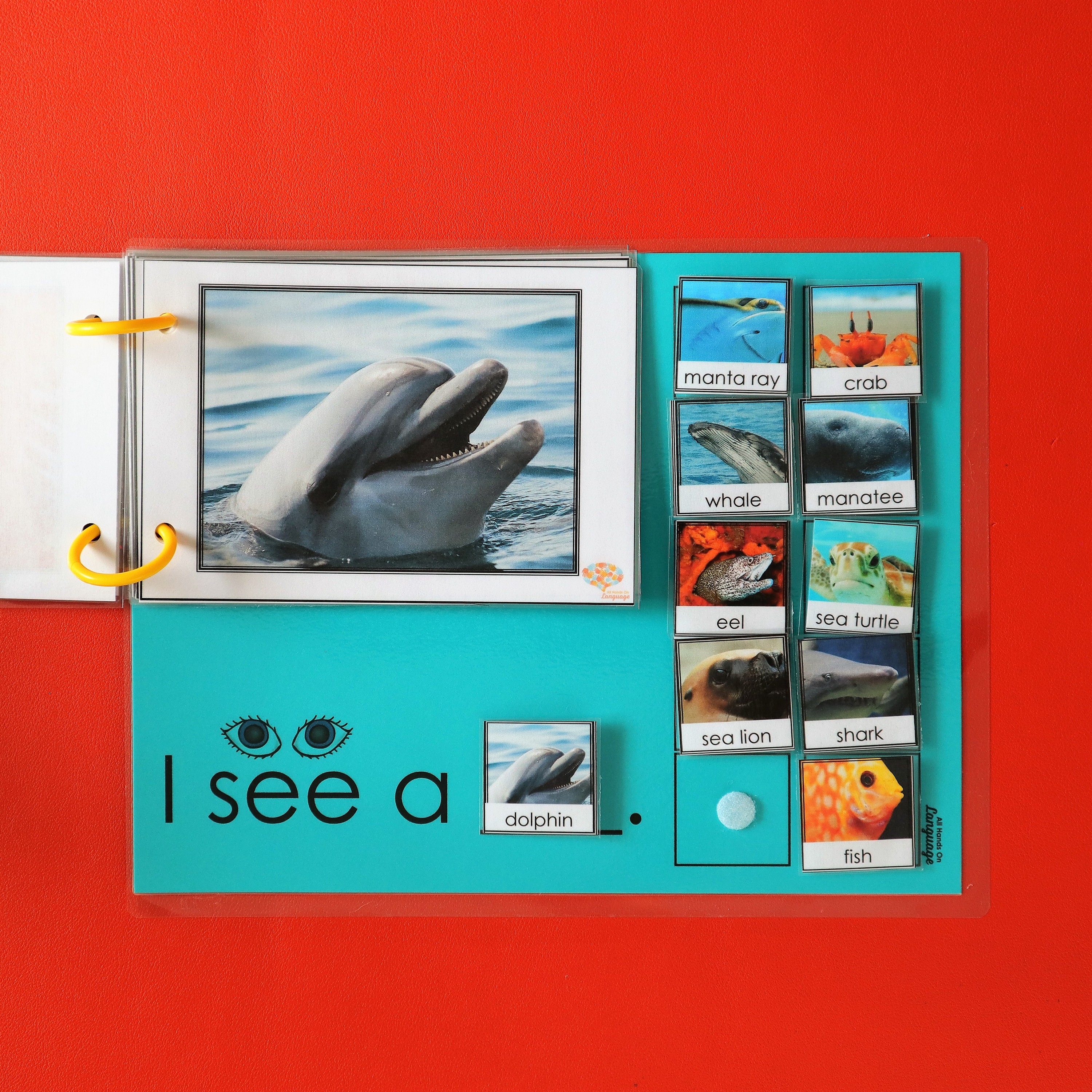 Ocean Animal Faces Interactive Book: Sentence Building Activity, Speech ...