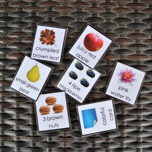 Ouch!, Apple Trouble Story Companion, Retell & Sequence the Story Plus ...