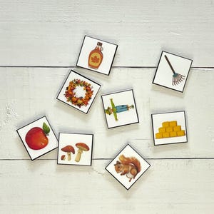 Fall-themed What Goes With This? Associations Matching Activity, Autumn ...