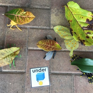 Bugs & Insects Interactive Flap Book: Preposition "under", Sentence ...