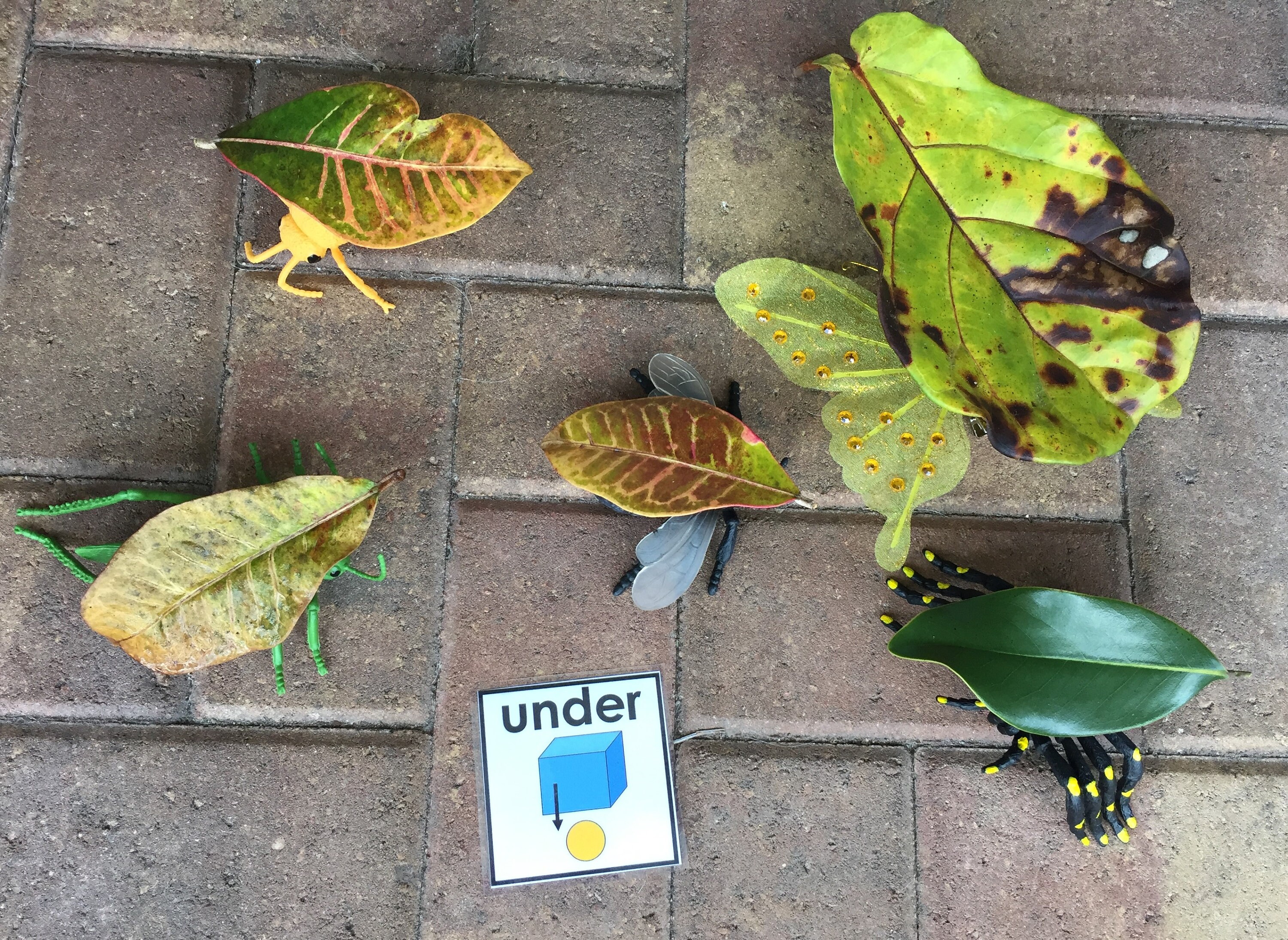 Bugs & Insects Interactive Flap Book: Preposition "under", Sentence ...