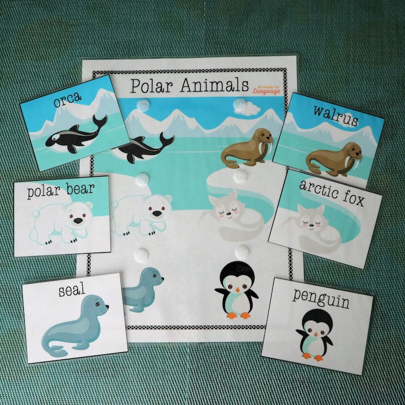 Polar Animals - Etsy