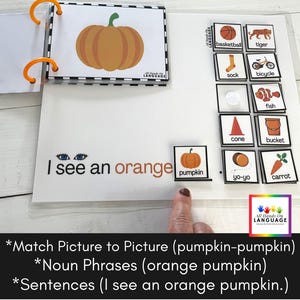 I See ORANGE... Interactive Book and Sentence Formulation Activity ...